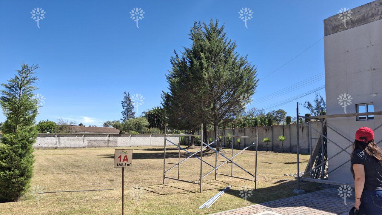 Terreno de venta en Puembo 1245 m2 urbanización Paseo del Prado, cerca ...